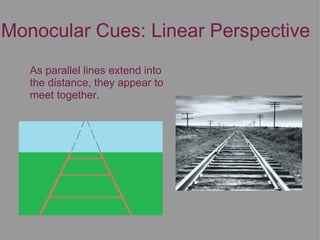 Monocular Cues Light And Shadow