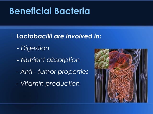 Microbiology: Human - Microbe Interactions | PPT