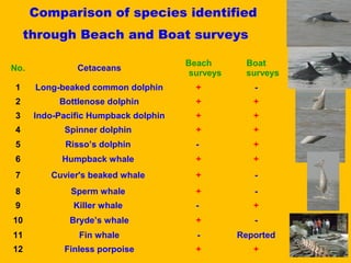 Final presentation | PPT