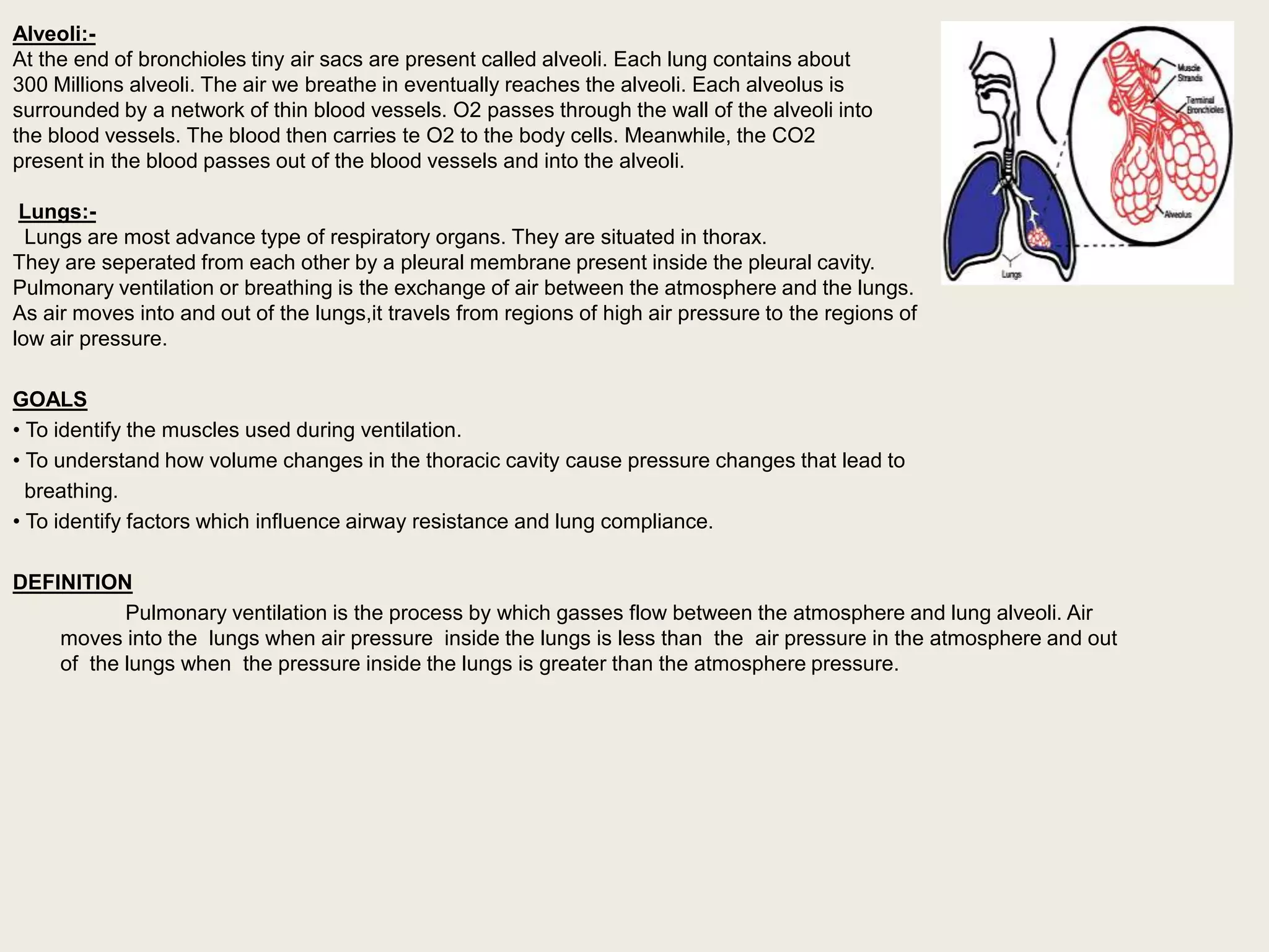 Pulmonary Ventilation (physiology) | PPTX