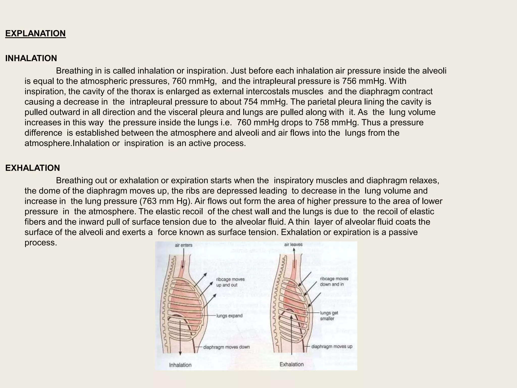 Pulmonary Ventilation (physiology) | PPTX