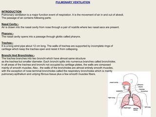Pulmonary Ventilation (physiology) | PPTX