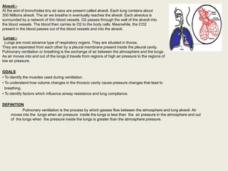 Pulmonary Ventilation (physiology) | PPTX