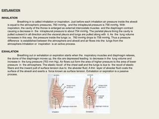 Pulmonary Ventilation (physiology) | PPTX