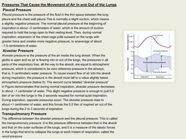 Pulmonary Ventilation (physiology) | PPTX