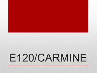 Everything About One Thing - E120 | PPTX | Beekeeping | Hobbies & Interests