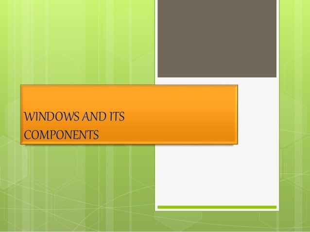 windows and its components