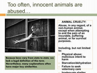 Final presentation | PPT