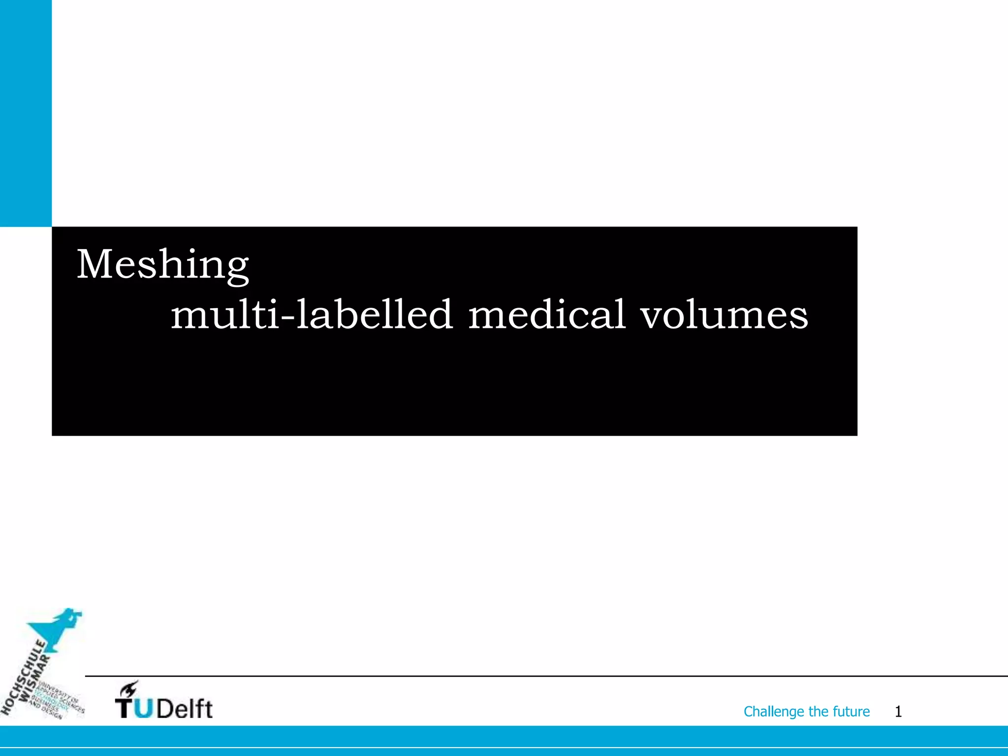 Master Thesis: Conformal multi-material mesh generation from labelled ...