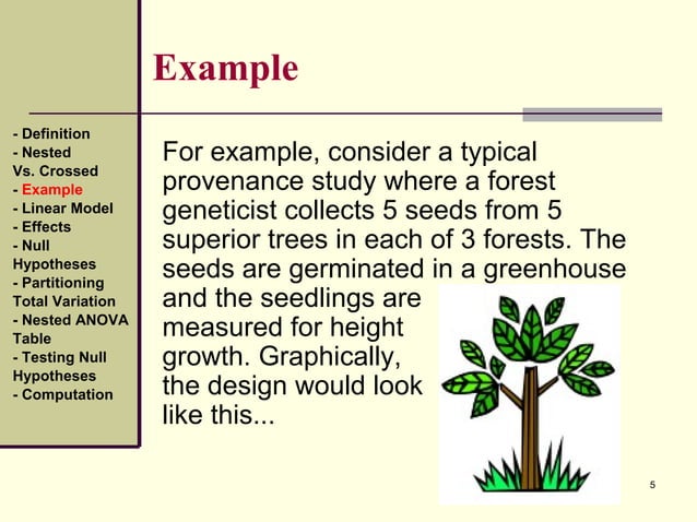 NESTED DESIGNS | PPT