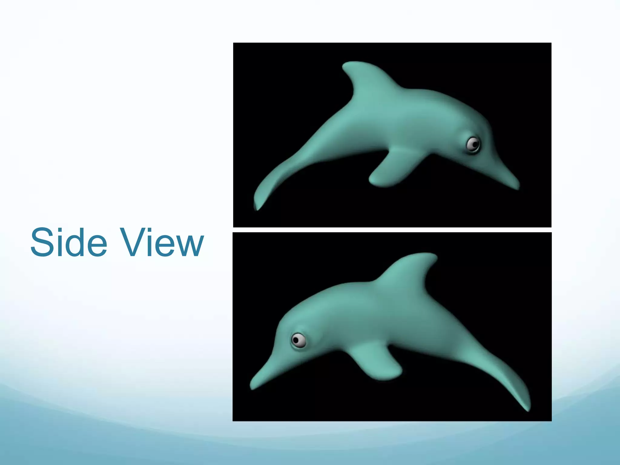 The Sailor - 3D Computer Animation | PPT