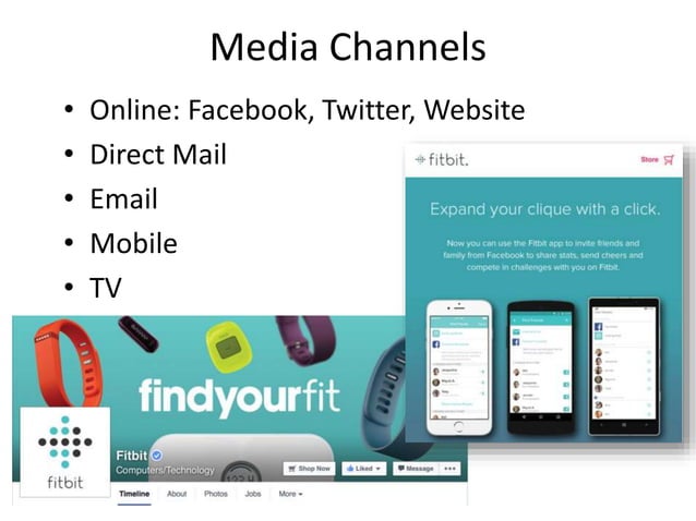 FitBit Direct Marketing Campaign | PPT