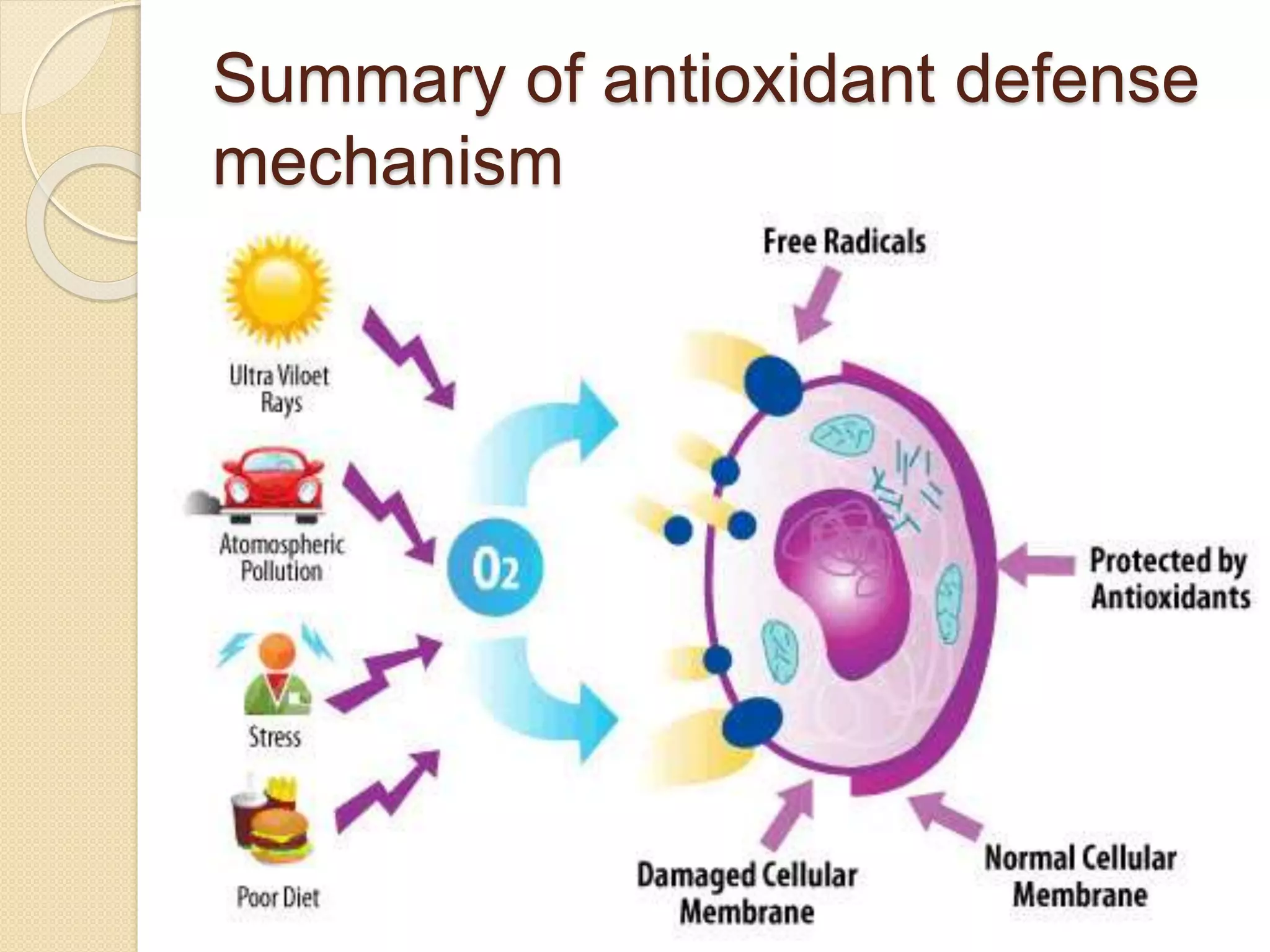 Defence mechanism of antioxidant in Human Body | PPTX