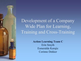 Developing a Company wide Training Program | PPTX