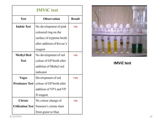 Characterization of antifungal metabolite from serendipitiously ...