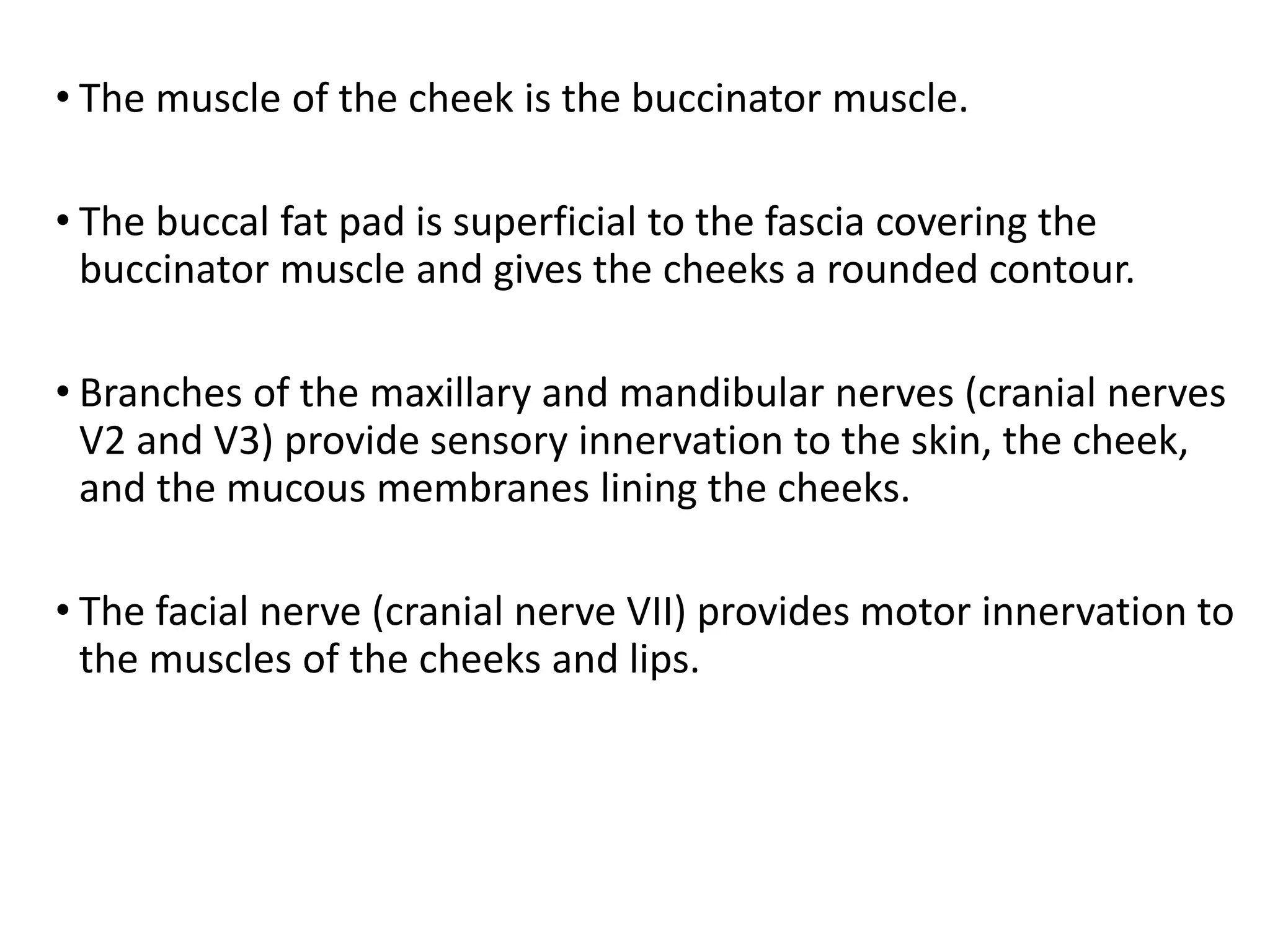 Carcinoma Buccal Mucosa- Anatomy to Management | PPTX
