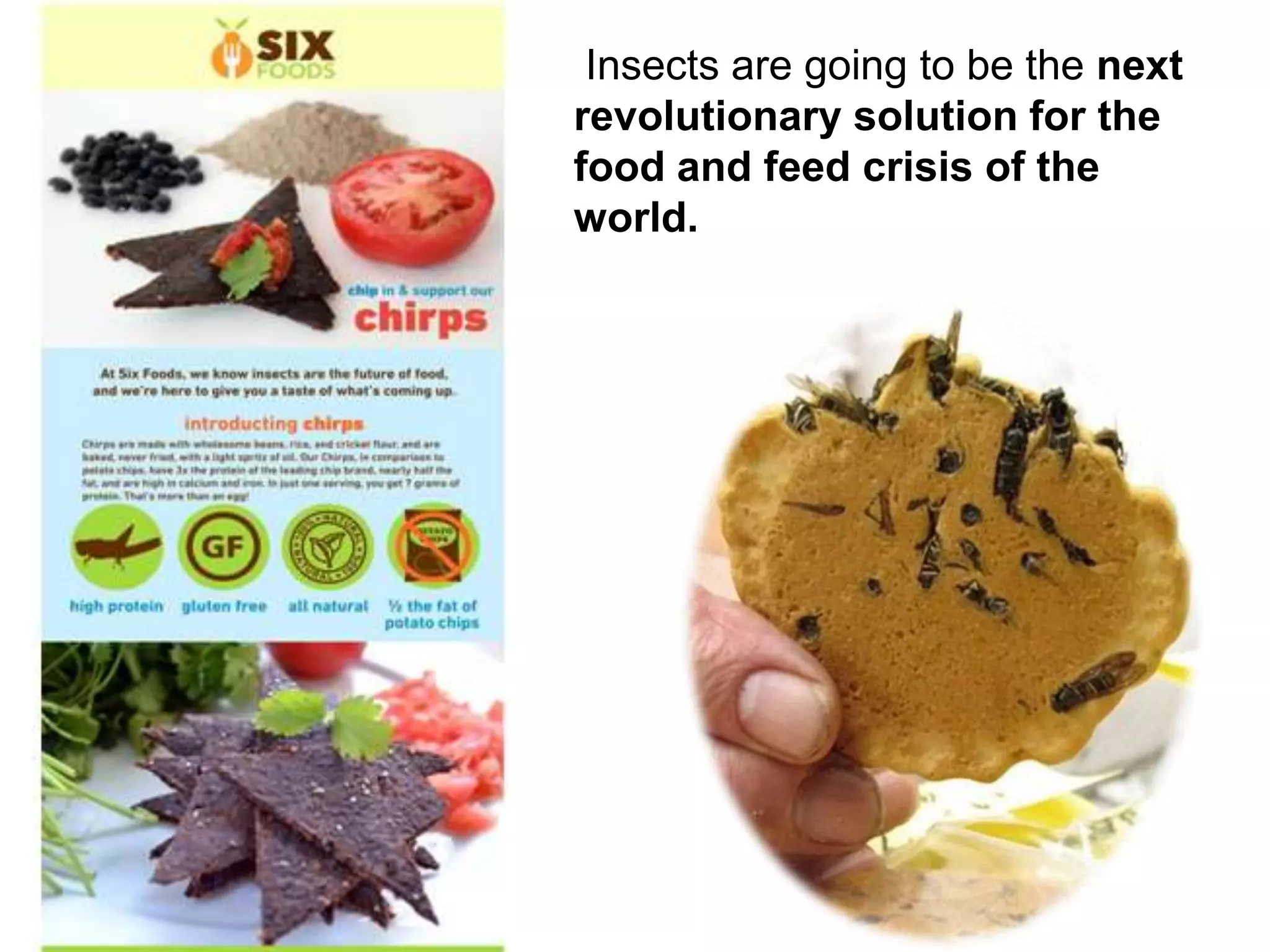 Fish meal feed replacement for the aquaculture with insect meal | PPTX