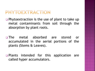 Phytoextraction | PPTX