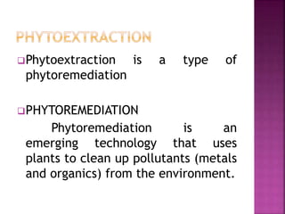 Phytoextraction