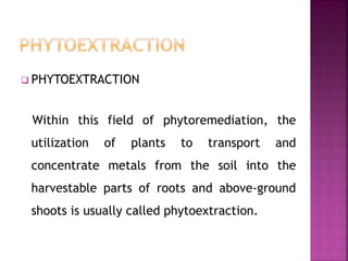 Phytoextraction