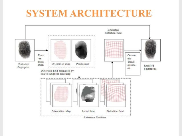 Detecting And Improving Distorted Fingerprints Using Rectification