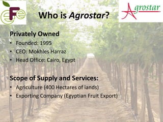Agrostar-Egyptian Fruit Export | PDF