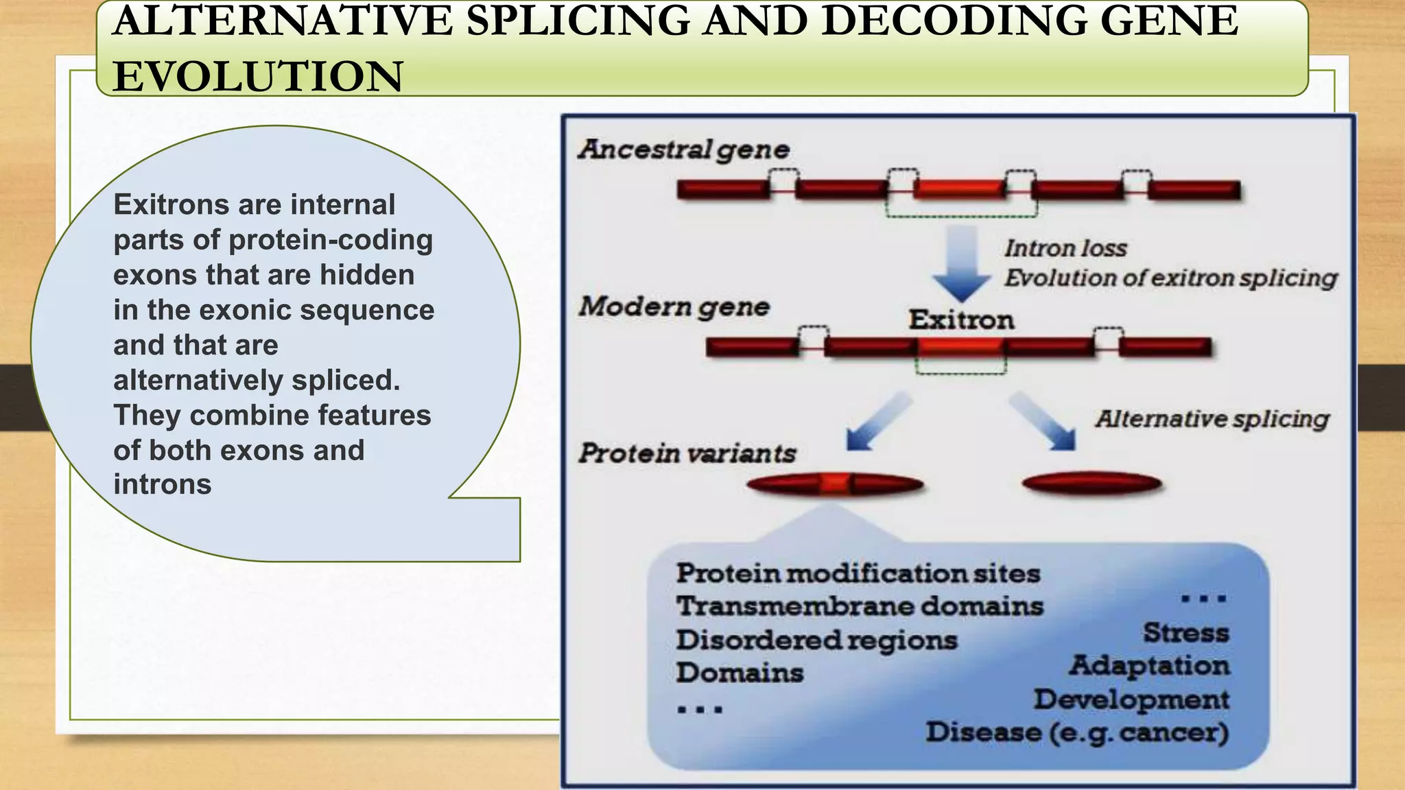 Alternative splicing : mechanism and regulation | PPTX