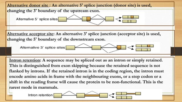 Alternative splicing : mechanism and regulation | PPTX