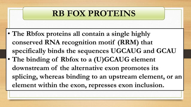 Alternative splicing : mechanism and regulation | PPTX