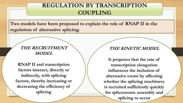 Alternative splicing : mechanism and regulation | PPTX