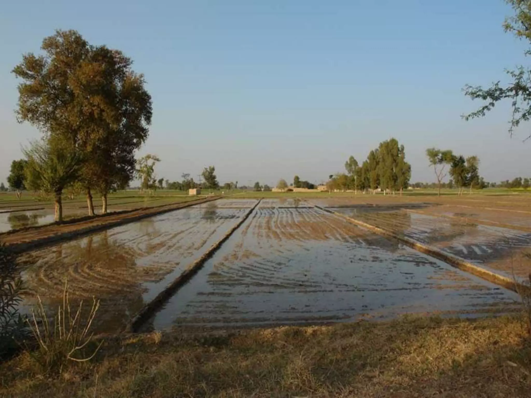 Irrigation System of Pakistan | PPTX