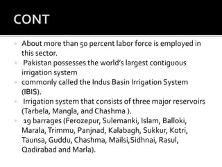Irrigation System of Pakistan | PPTX