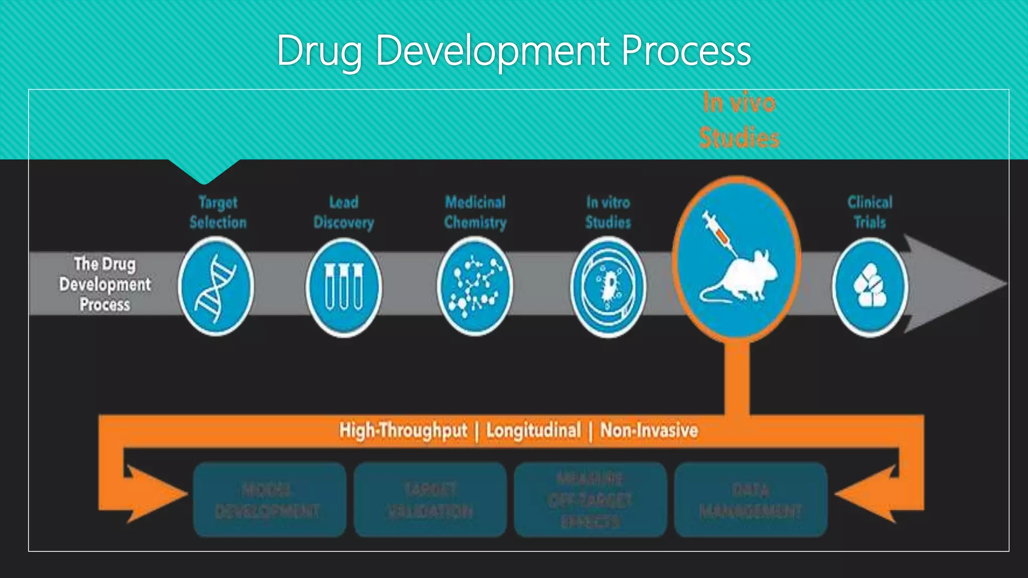 The stages of Drug Discovery and Development process | PPTX