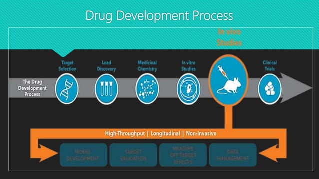 The stages of Drug Discovery and Development process | PPTX
