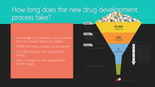 The stages of Drug Discovery and Development process | PPTX