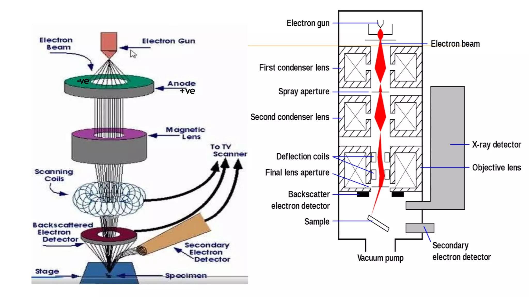 Scanning electron microscope (SEM) | PPTX