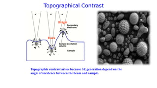Scanning electron microscope (SEM) | PPTX