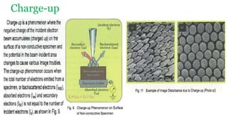 Scanning electron microscope (SEM) | PPTX | Chemistry | Science