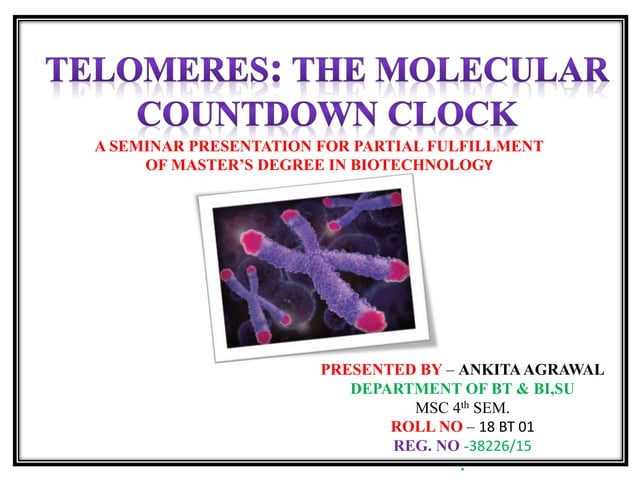 Telomere and telomerase | PPTX