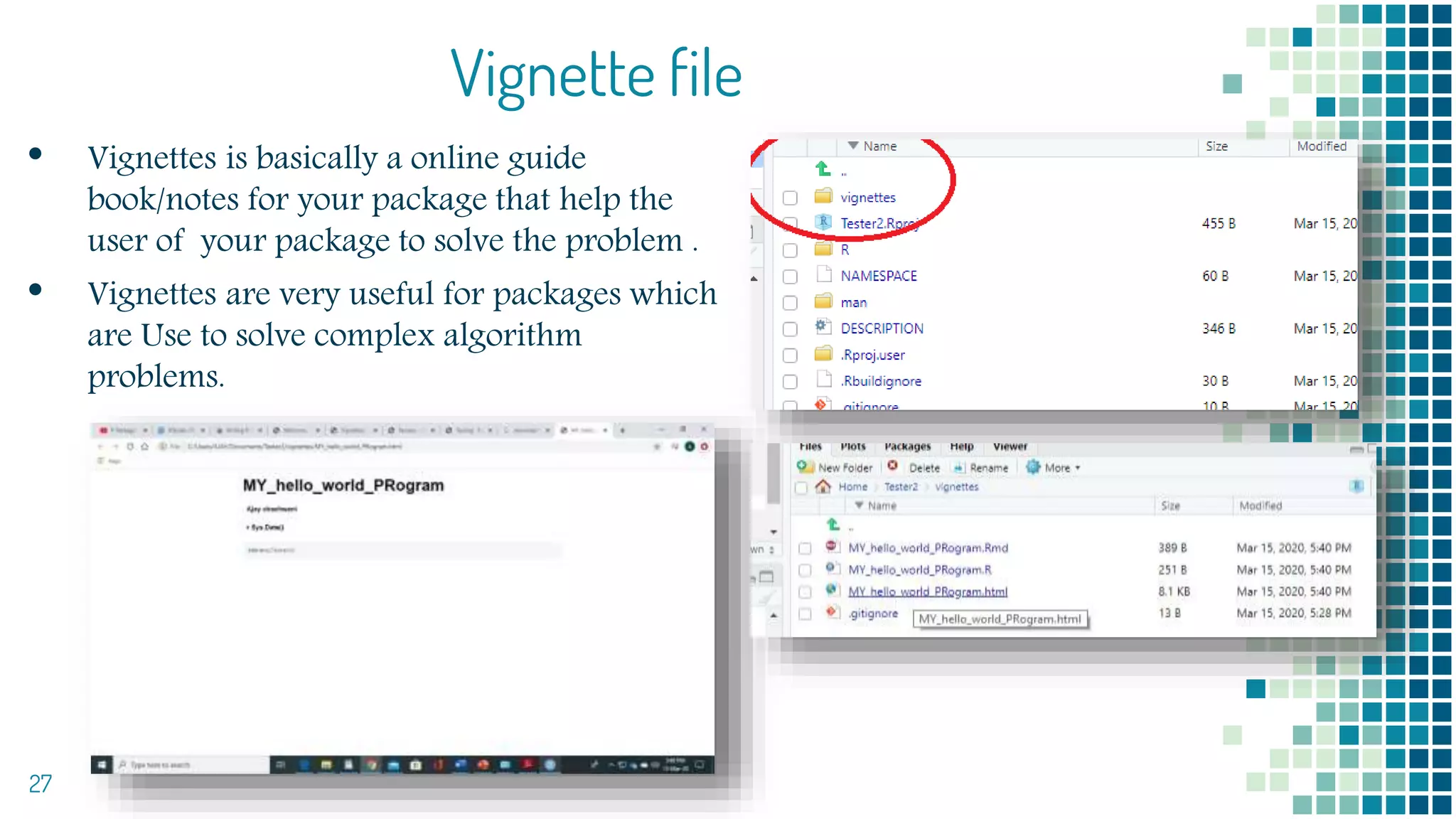 DevTools Package Development | PPTX