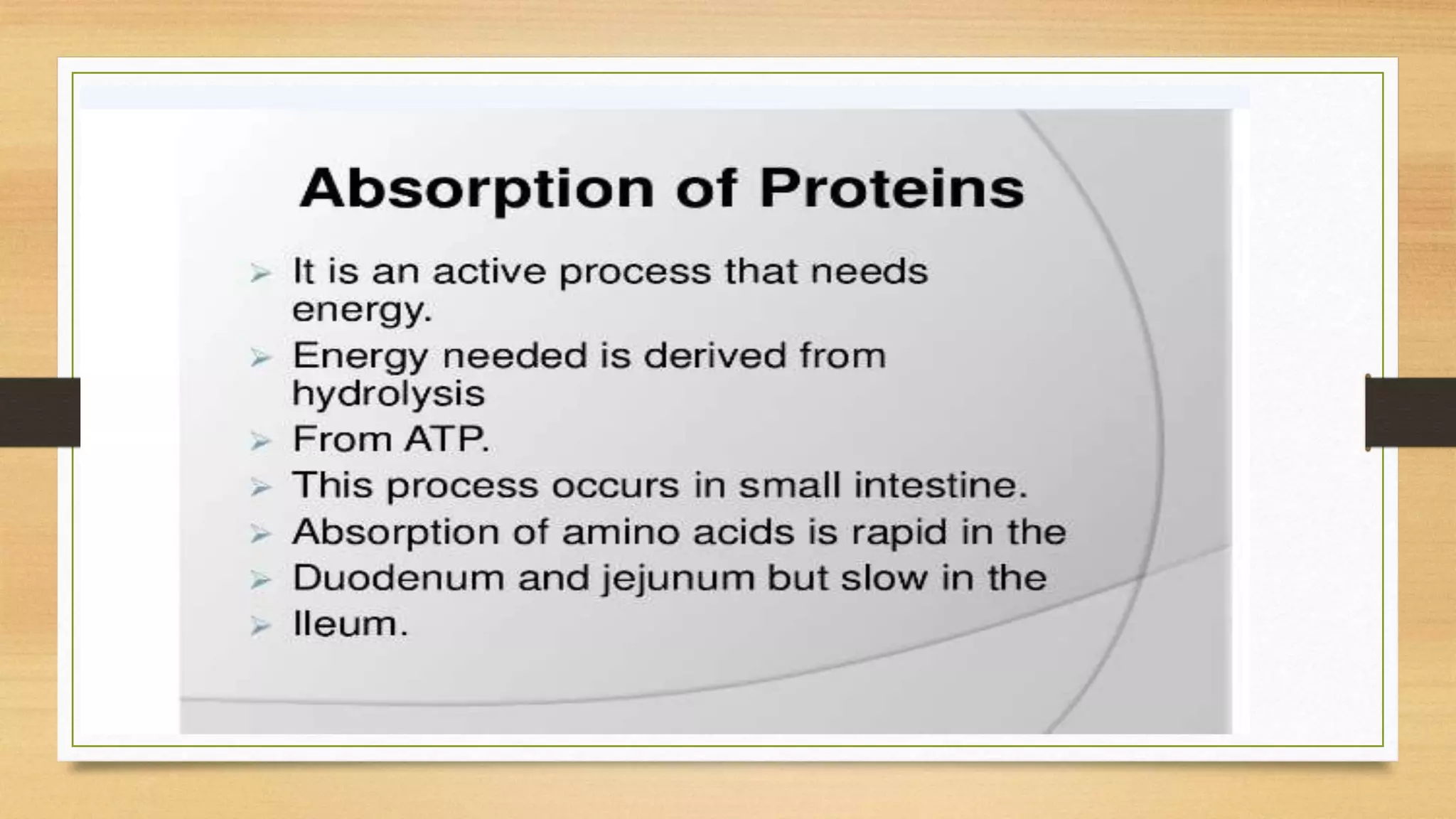 protein digestion and absorbtion | PPT