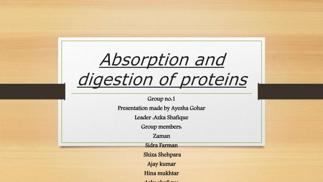 protein digestion and absorbtion | PPT