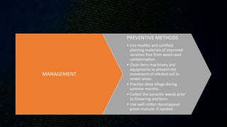 OROBANCHE in mustard | PPTX