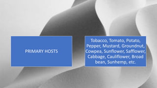 OROBANCHE in mustard | PPTX