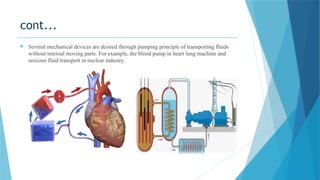 Final presentation of the task which.pptx