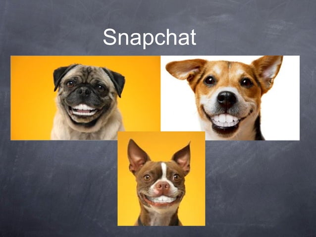 Colgate-Final Presentation | PPT