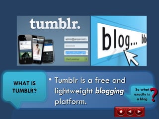 Tumblr | PPT | Social Networking | Internet