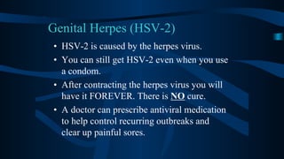 Presentation on the Sexually Transmitted Diseases | PPTX