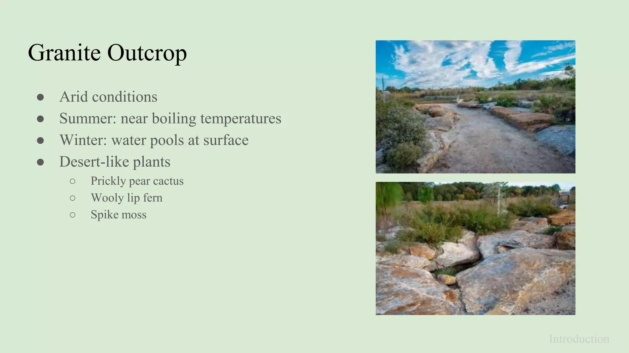 Capstone Senior Design Final Presentation | PPT