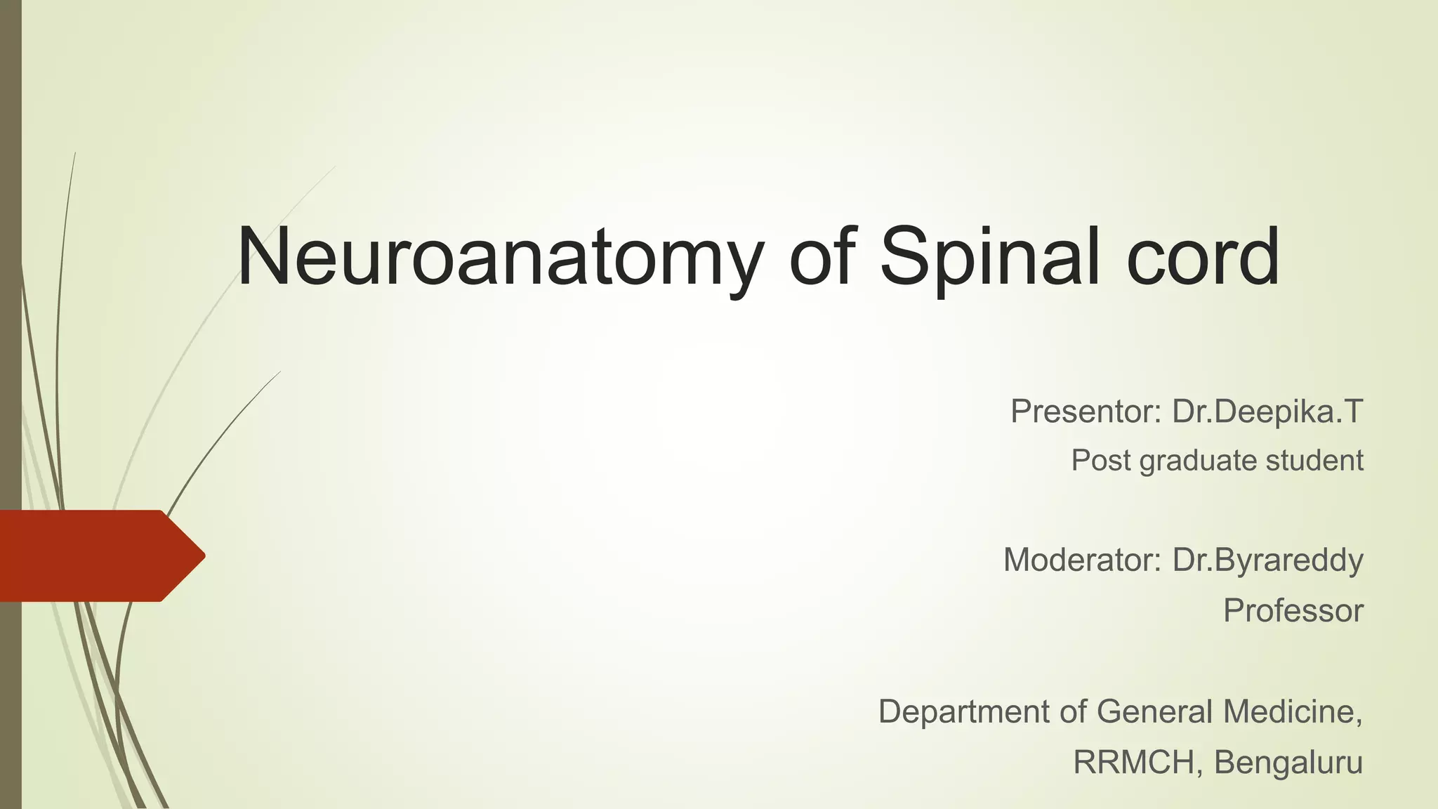 SPINAL CORD NEUROANATOMY BY Dr.Deepika.T | PPTX